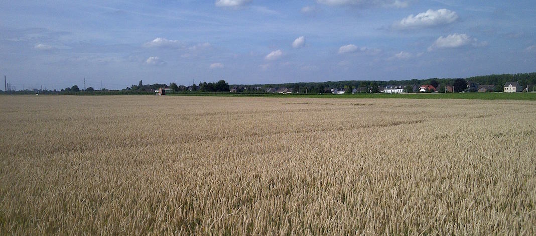 Reiseführer zu Bornheim-Hersel von A bis Z | Landesblog NRW
